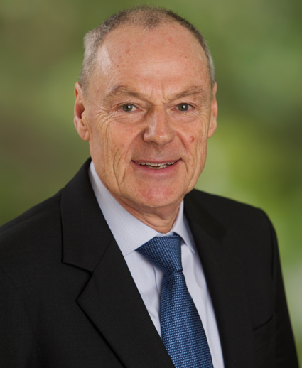 Müller-Rostin, Prof. Dr. Wolf